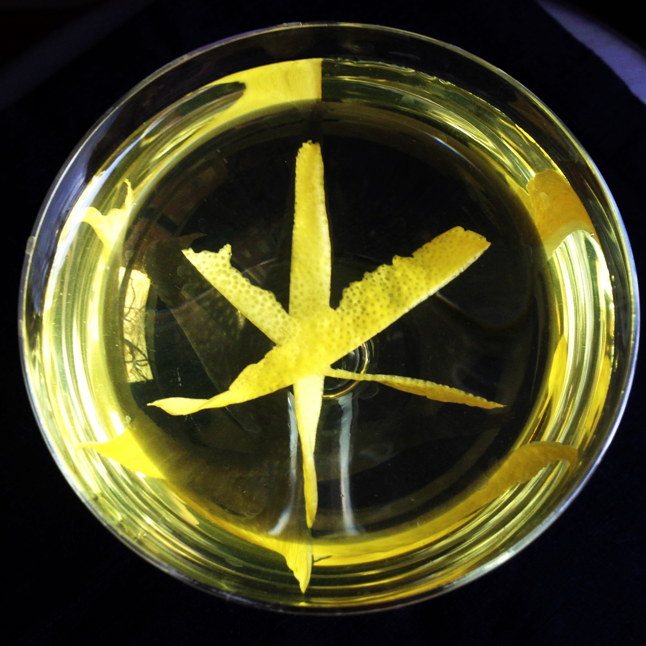 Yellow Jacket | The Straight Up